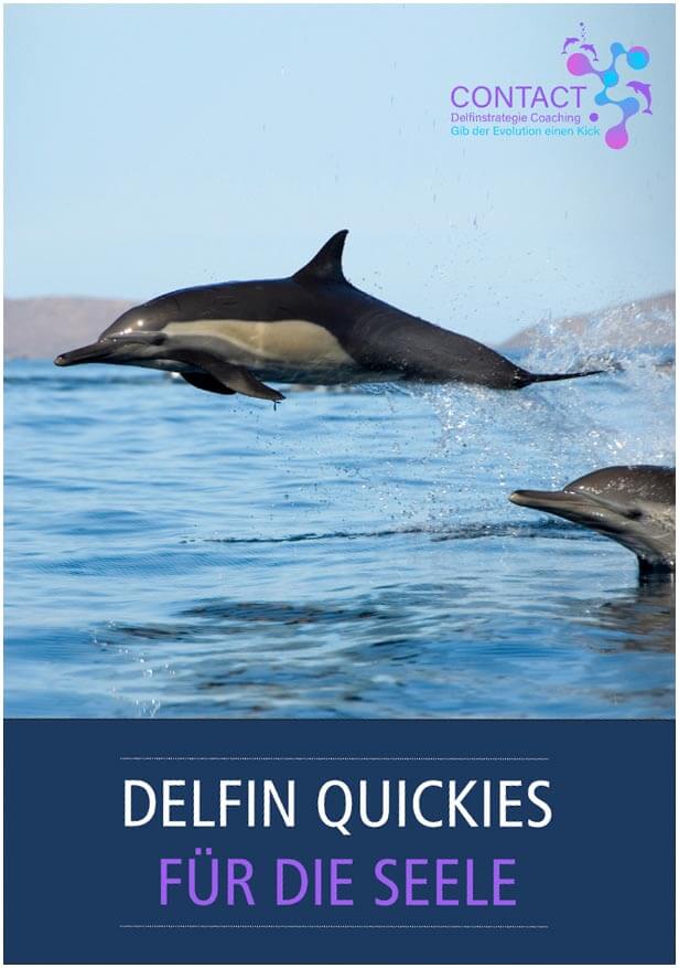 Welche Wale wo? Walarten & Beobachtungsgebiete weltweit